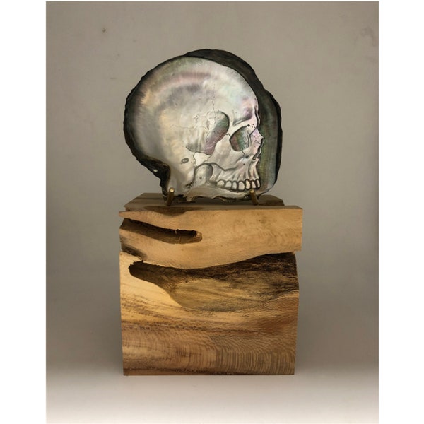 Shell Skeleton - Etsy