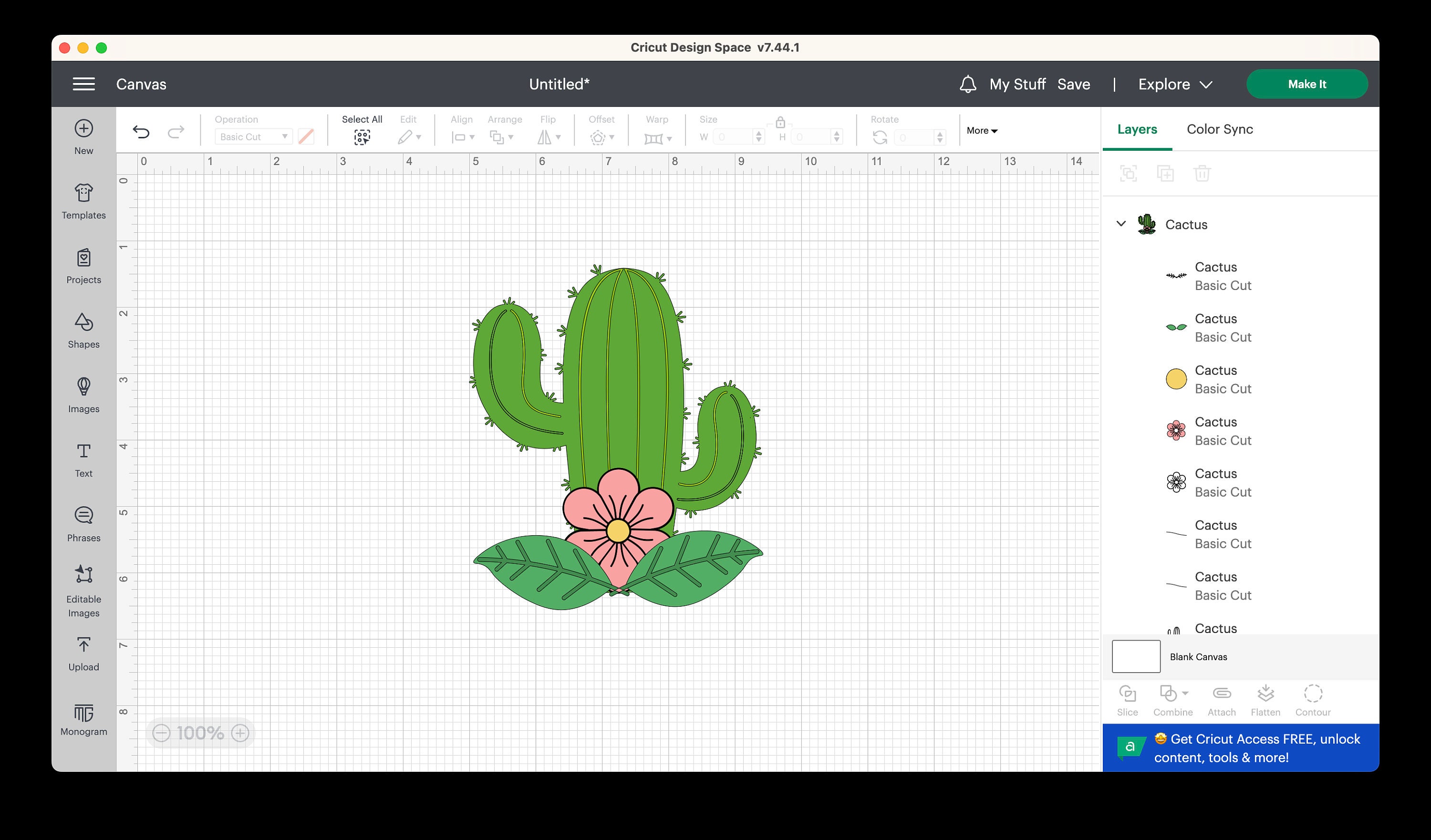 Cactus SVG PNG Cactus Clipart Cacti Svg Cactus Svg Design - Etsy