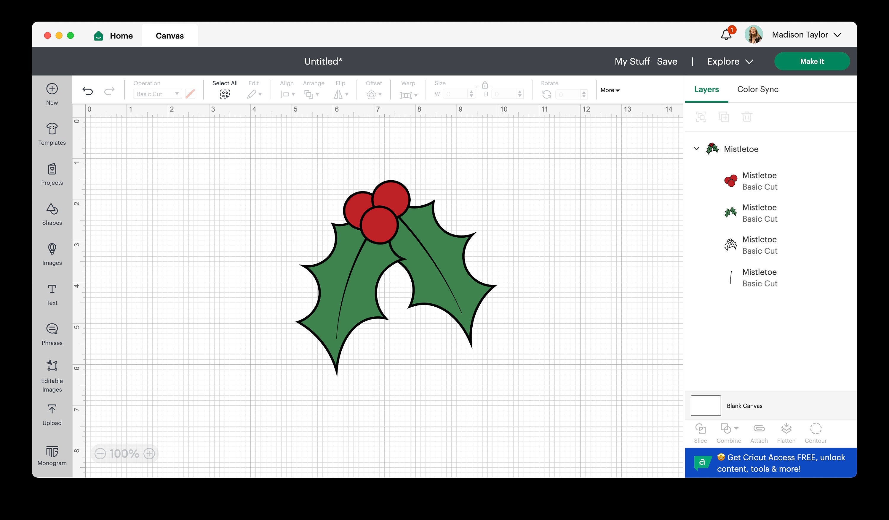 Mistletoe SVG PNG, Christmas Mistletoe Svg, Christmas Clipart, Design ...
