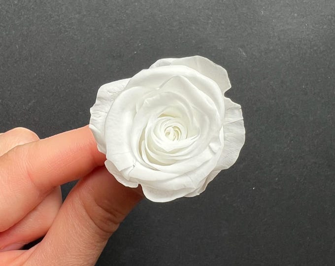 Real White Rose Cube, Forever Rose Crystals Keepsake, Resin Paperweight ...