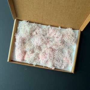 Reindeer Moss Preserved Lichen | Everlasting & Stabilized | Craft ...