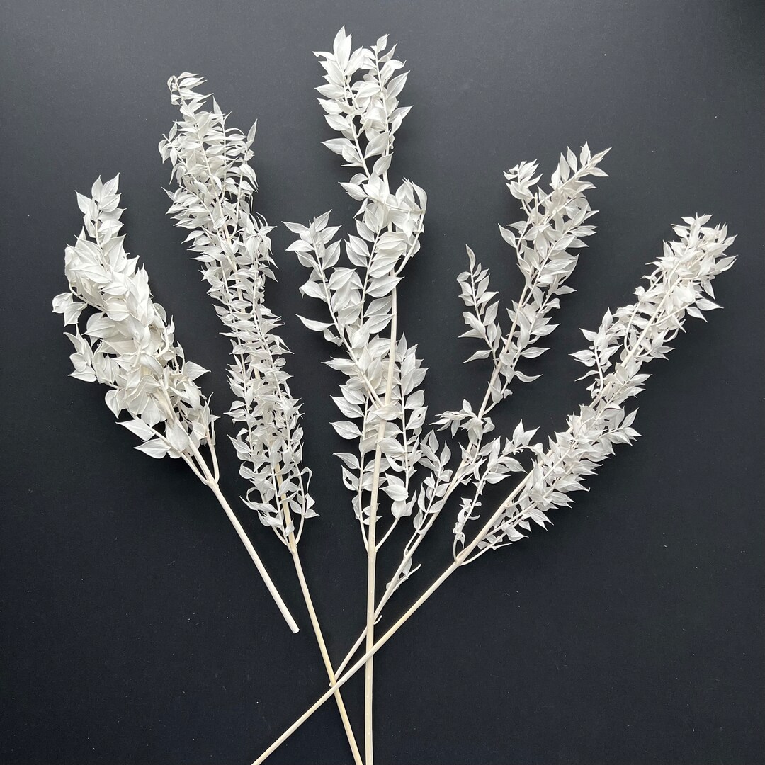 Preserved Ruscus Leaves Everlasting & Preserved Bouquet - Etsy UK