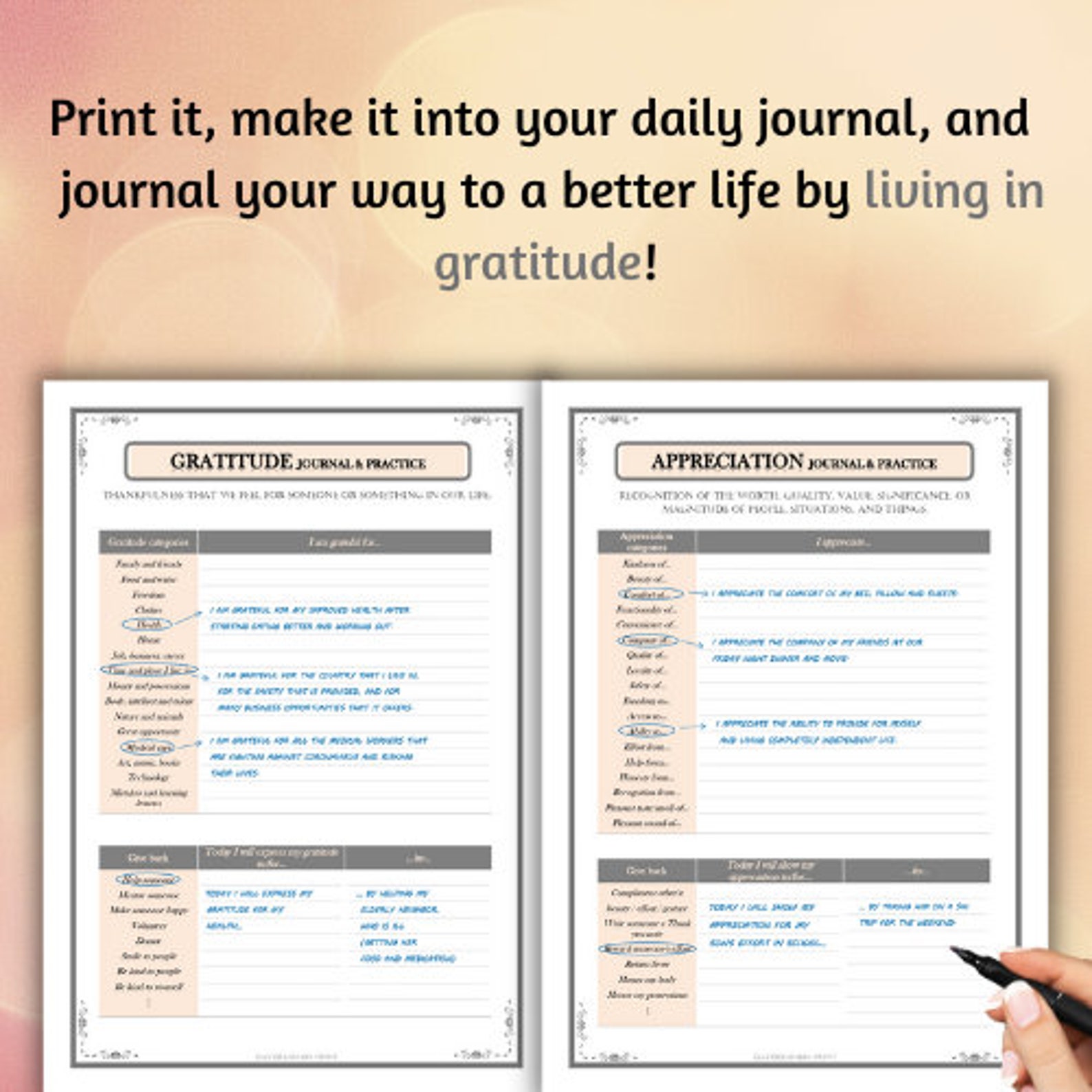 Gratitude and Appreciation Journal Peach | Etsy