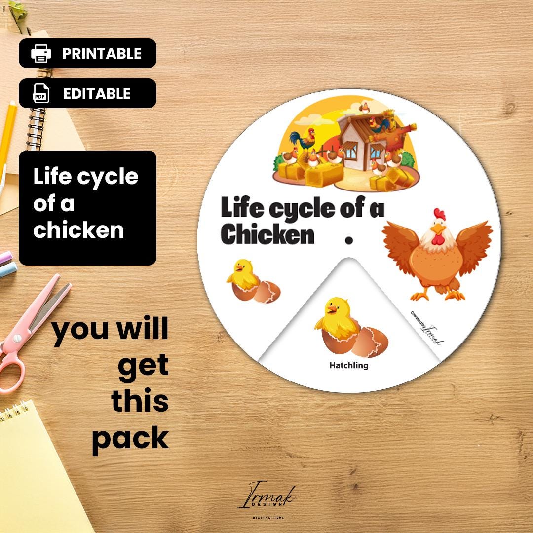 LIFE CYCLE of a CHICKEN Wheel Printable | Home Print | Preschool ...