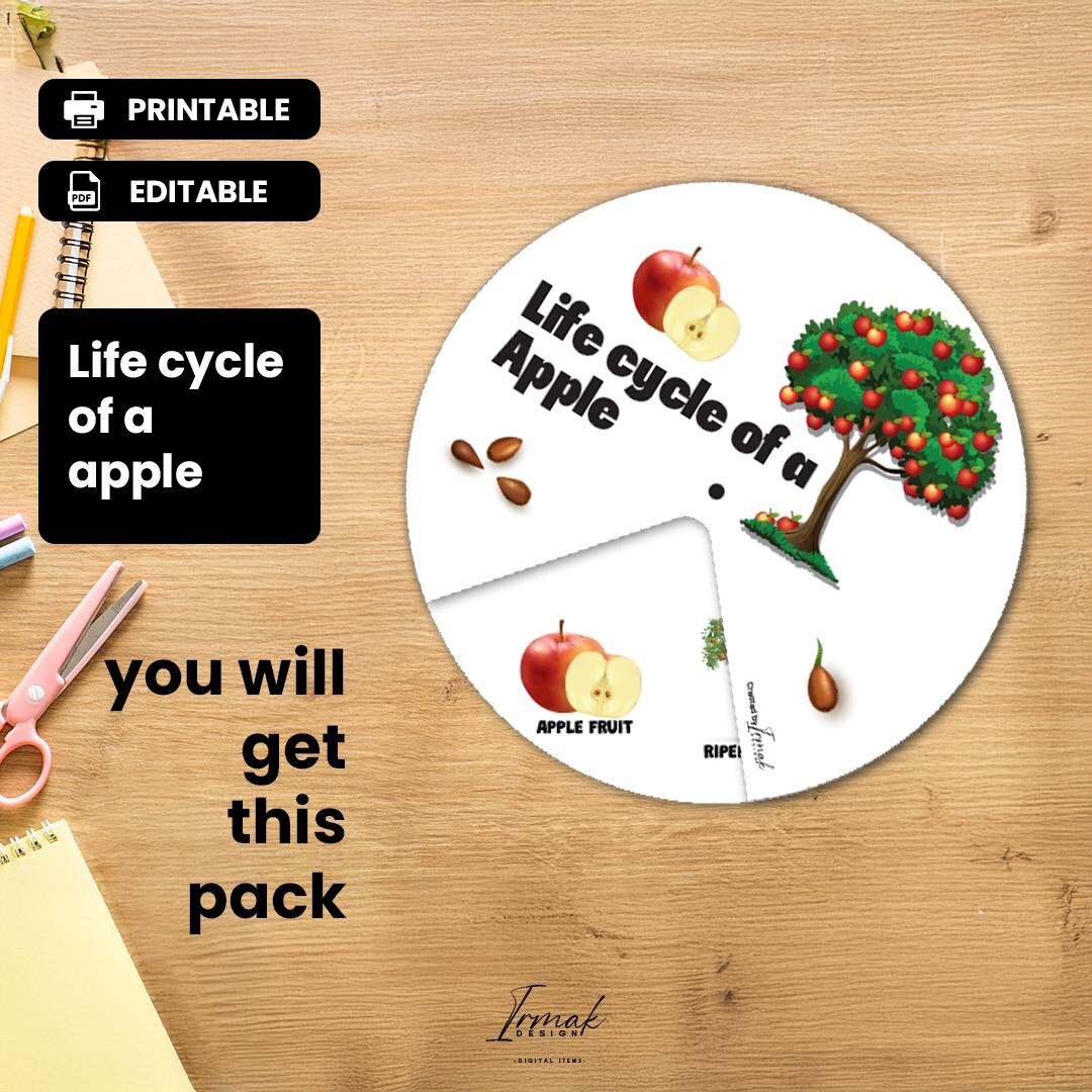 LIFE CYCLE of a APPLE Wheel Printable | Home Print | Preschool Activity ...