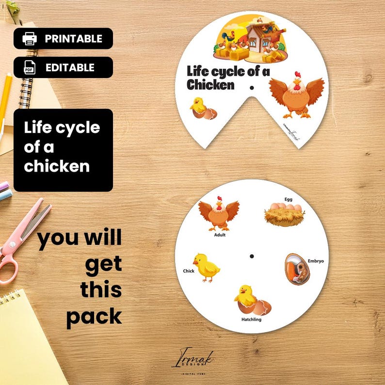 LIFE CYCLE of a CHICKEN Wheel Printable | Home Print | Preschool ...
