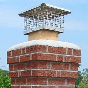 THE FOREVER CAP® Single Flue Pro Model Stainless Steel - Etsy