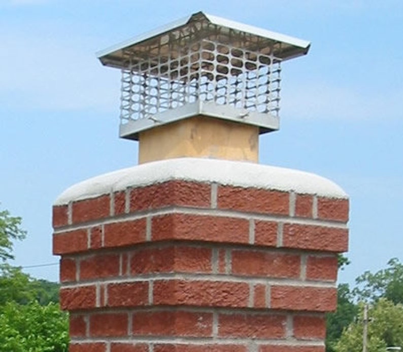 THE FOREVER CAP® Single Flue Pro Model Stainless Steel - Etsy