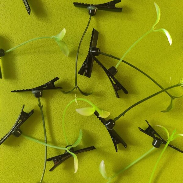 Sprout Decoration - Etsy