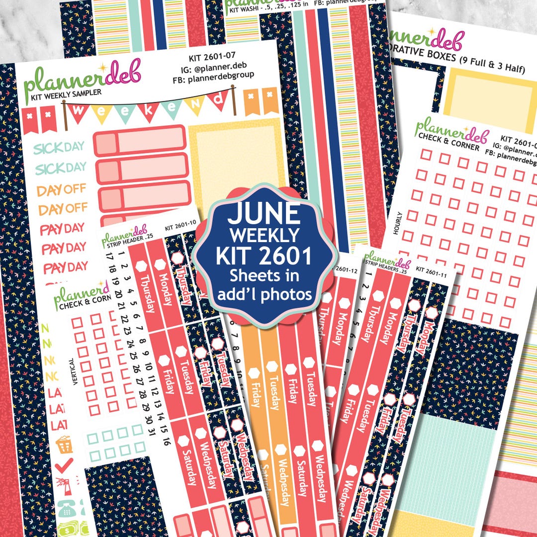 June Summer Kit 2601 Weekly Planner Stickers Made for Erin Condren ...