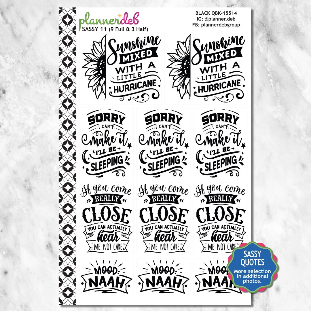 Sassy Quotes (11-12) Planner Stickers for Erin Condren Planner, Daily ...