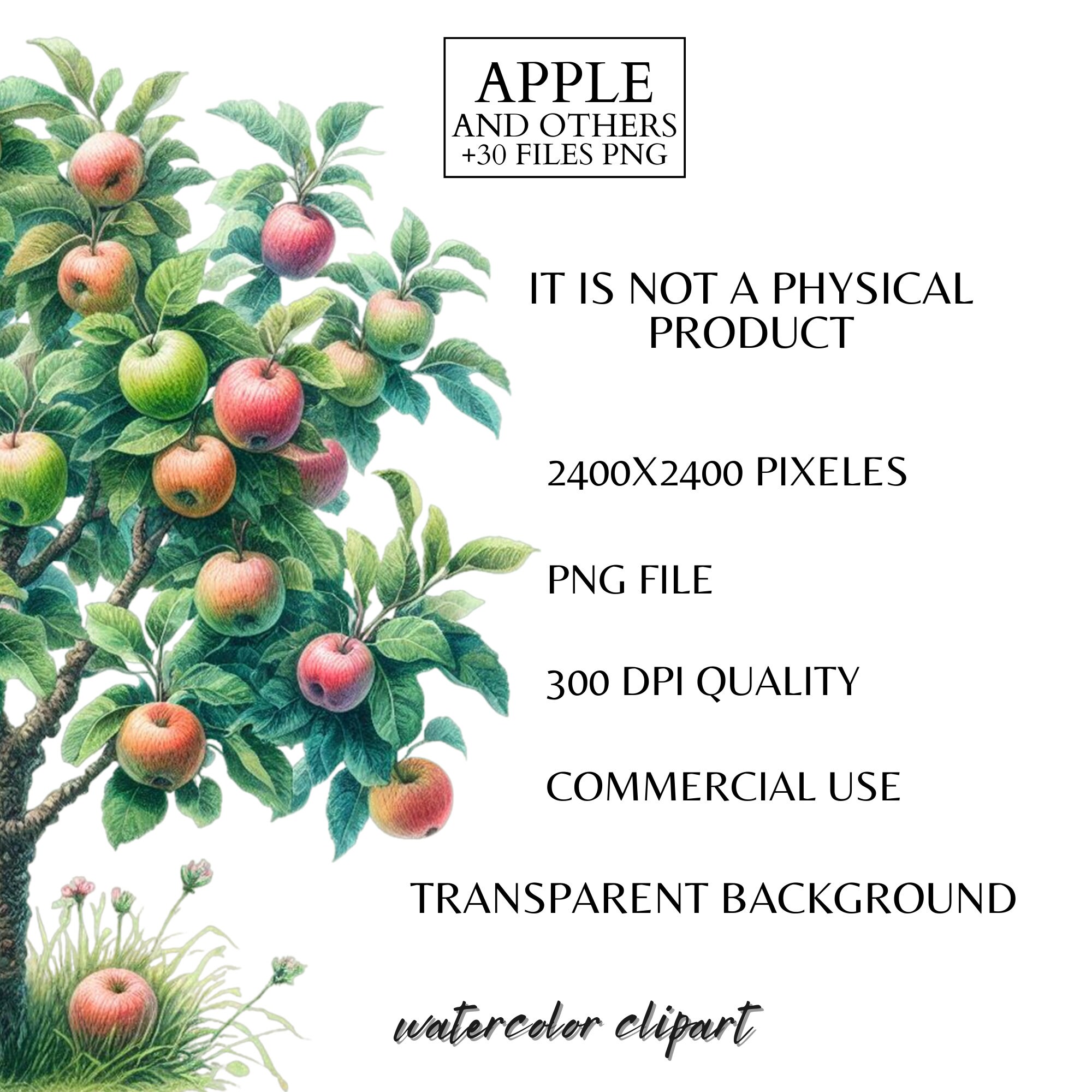 Apple Clipart Set Watercolor, Apple Desserts, Apple Baske Clipart ...