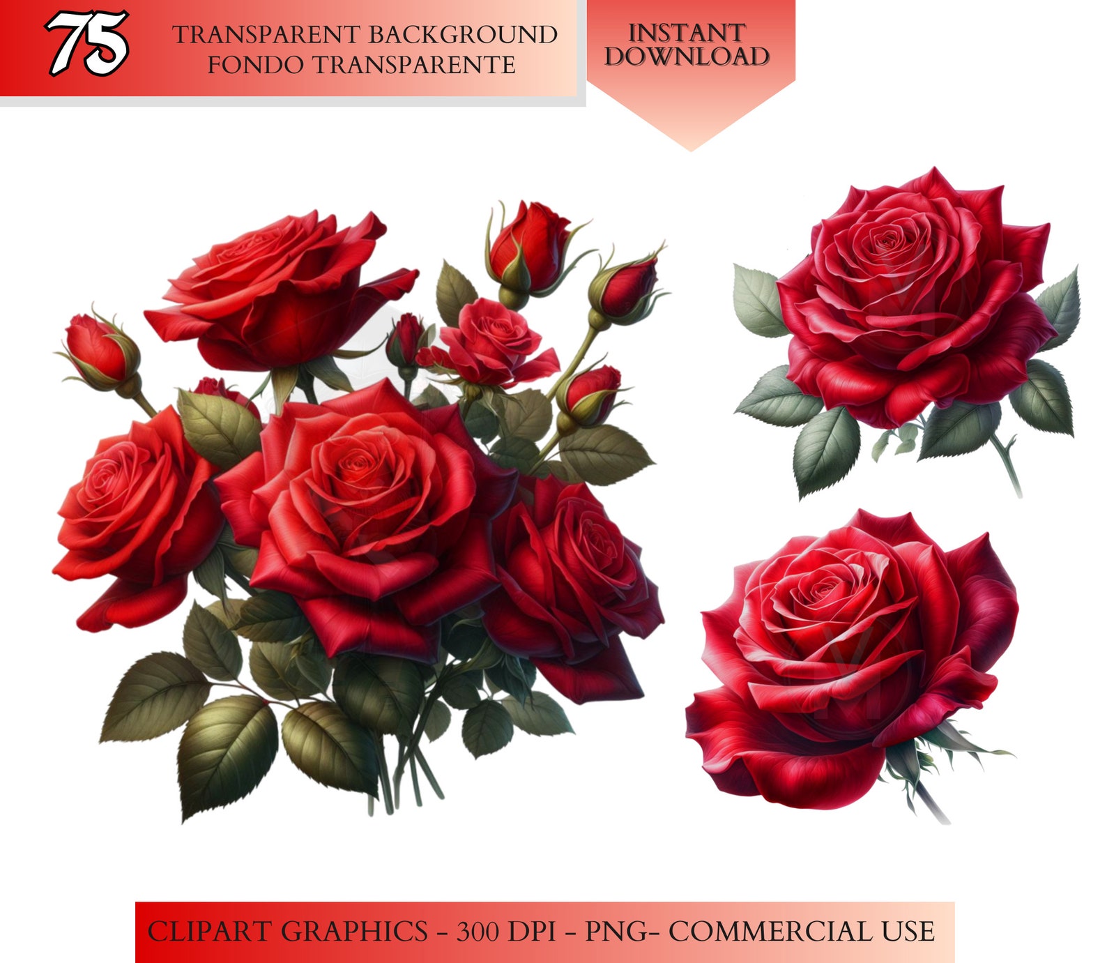 Red Roses Clipart Transparent Png - Mega Bundle 75 Designs - Instant ...