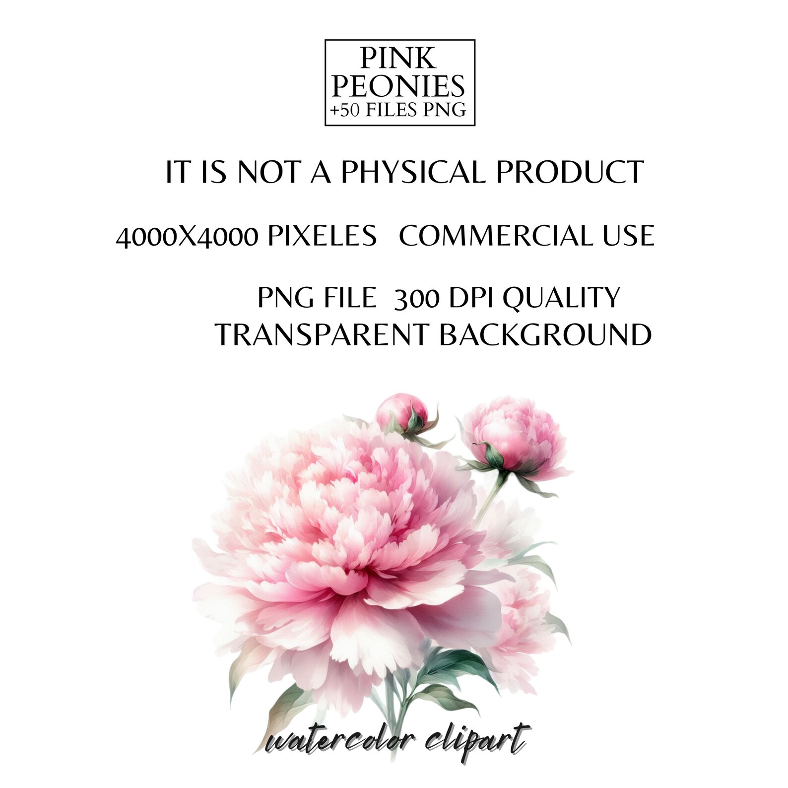 Pink Peonies Clipart Bundle, Watercolor Flowers Clipart, Peony PNG ...