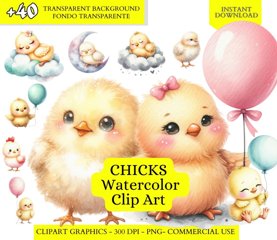 Cute Chick Clipart, Chick Png, Cute Chicken Baby Shower Graphics, Chick ...