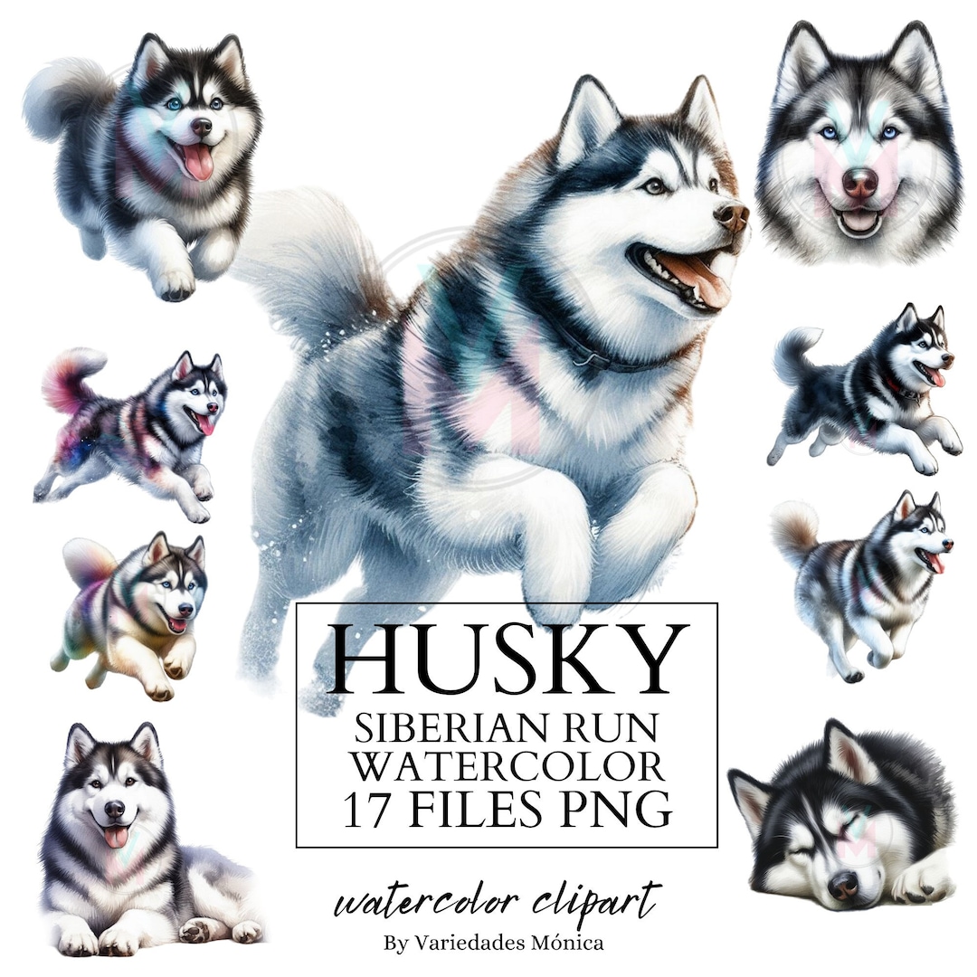 Siberian Husky Running Watercolor Clipart Pngs Dog Clipart, Husky Run ...