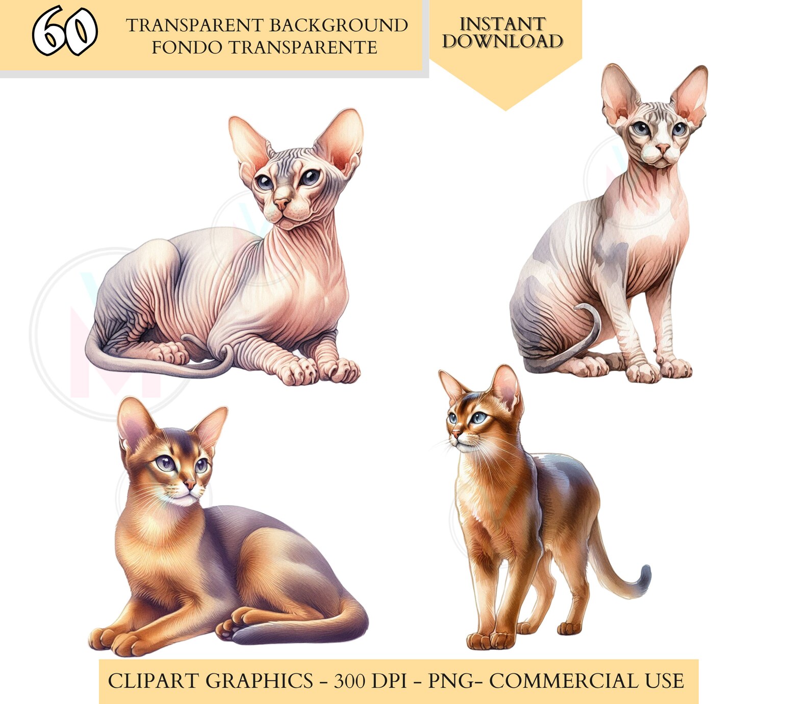 Cat Breeds PNG Bundle, 70 Cats Clipart Pngs, Cats Clipart, Animals ...