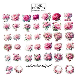Pink Peonies Clipart Bundle, Watercolor Flowers Clipart, Peony PNG ...