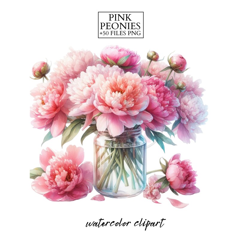 Pink Peonies Clipart Bundle, Watercolor Flowers Clipart, Peony PNG ...
