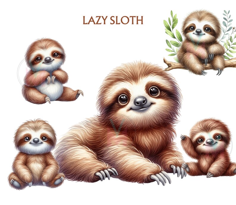 Cute Sloth Clipart, Watercolor Lazy Sloth Nursery 65 PNG, Spring ...