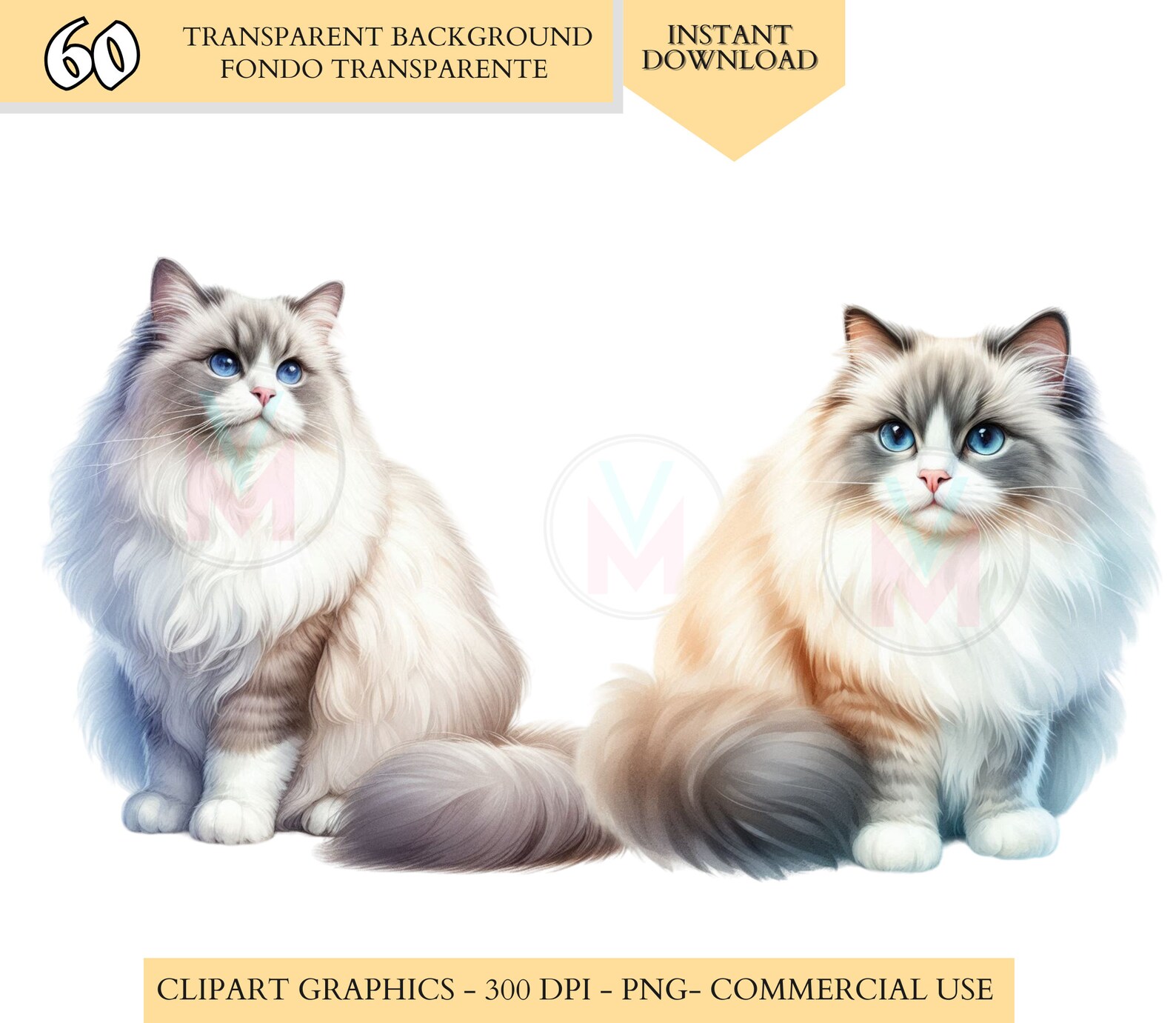 Cat Breeds PNG Bundle, 70 Cats Clipart Pngs, Cats Clipart, Animals ...