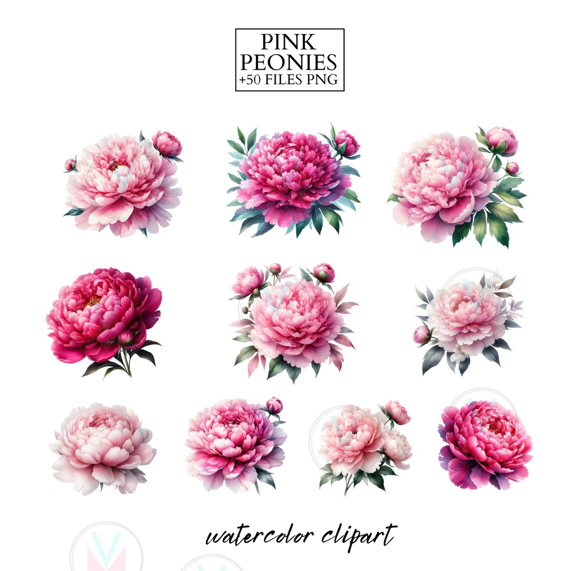Pink Peonies Clipart Bundle, Watercolor Flowers Clipart, Peony PNG ...