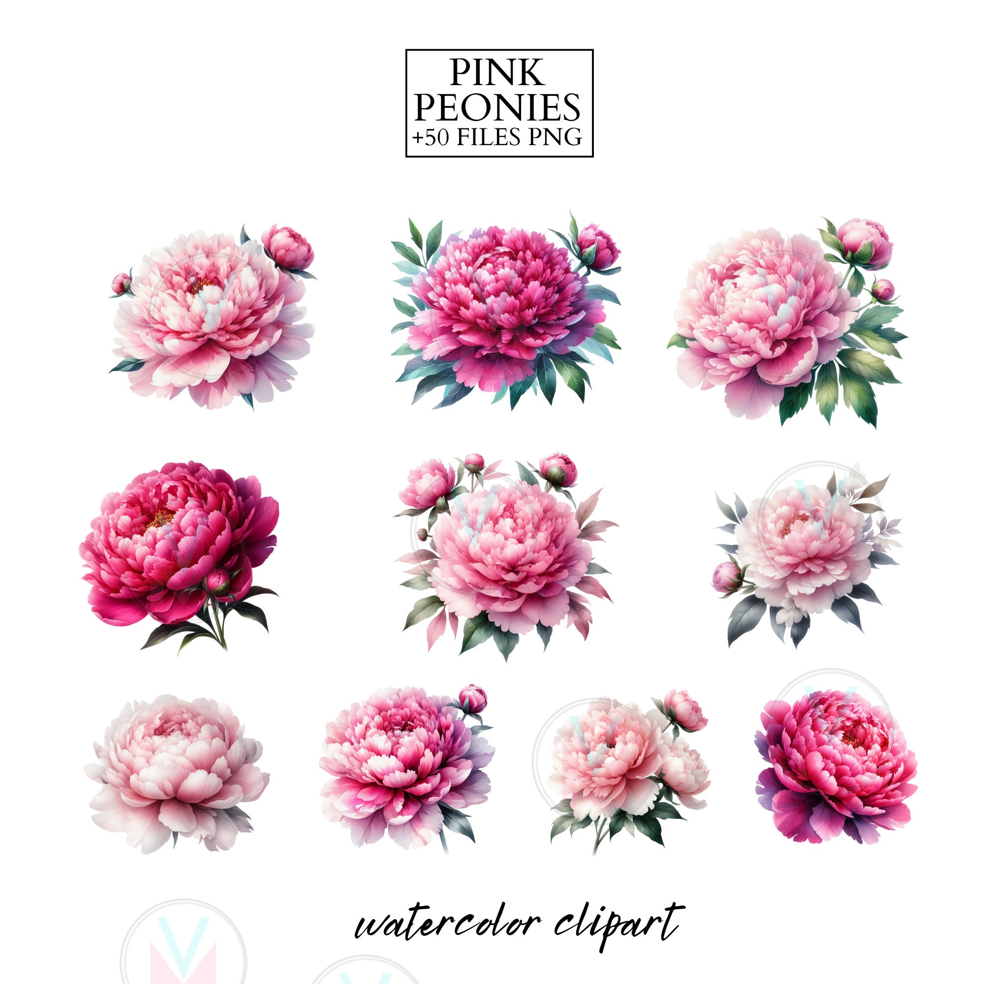 Pink Peonies Clipart Bundle, Watercolor Flowers Clipart, Peony PNG ...