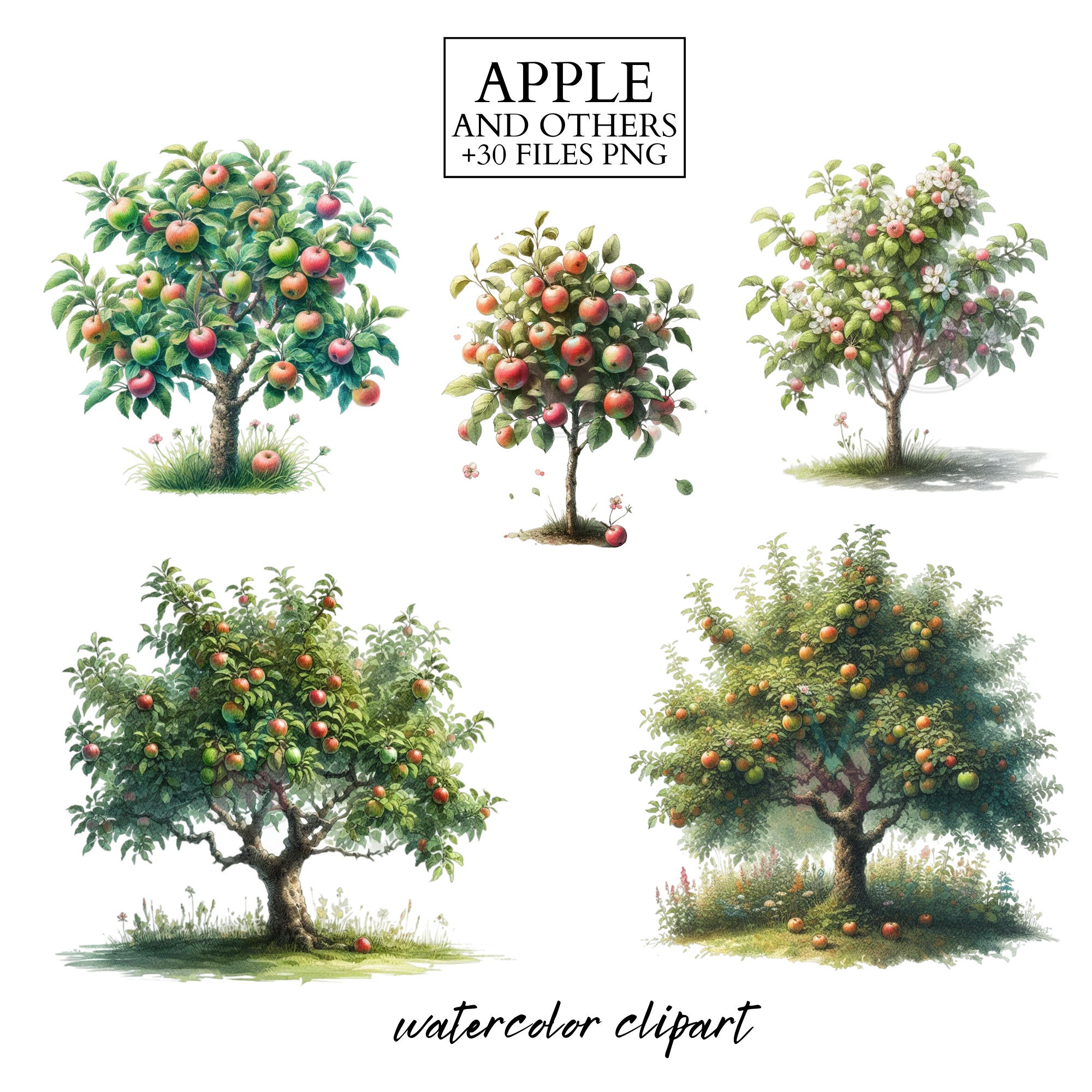 Apple Clipart Set Watercolor, Apple Desserts, Apple Baske Clipart ...
