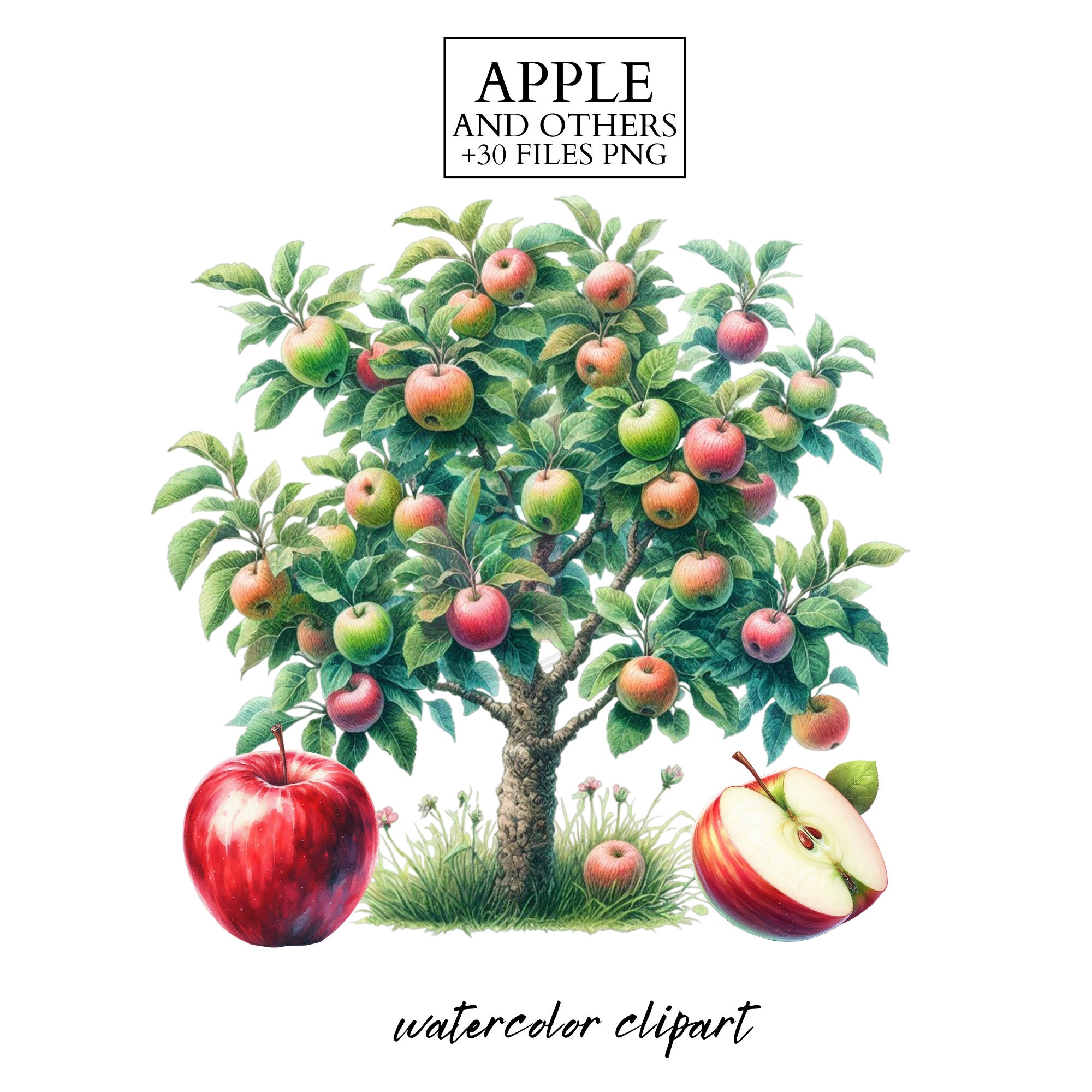 Apple Clipart Set Watercolor, Apple Desserts, Apple Baske Clipart ...