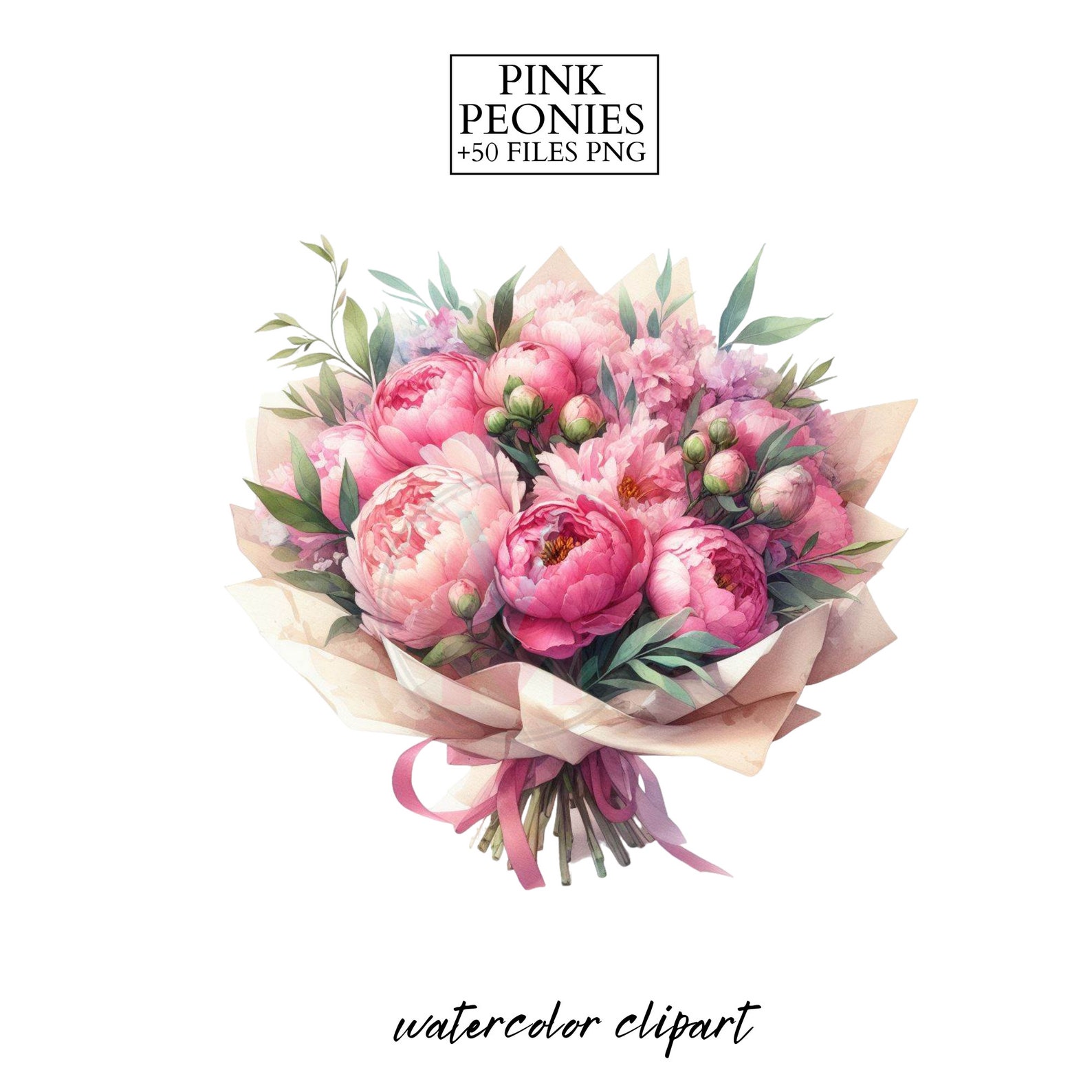 Pink Peonies Clipart Bundle, Watercolor Flowers Clipart, Peony PNG ...