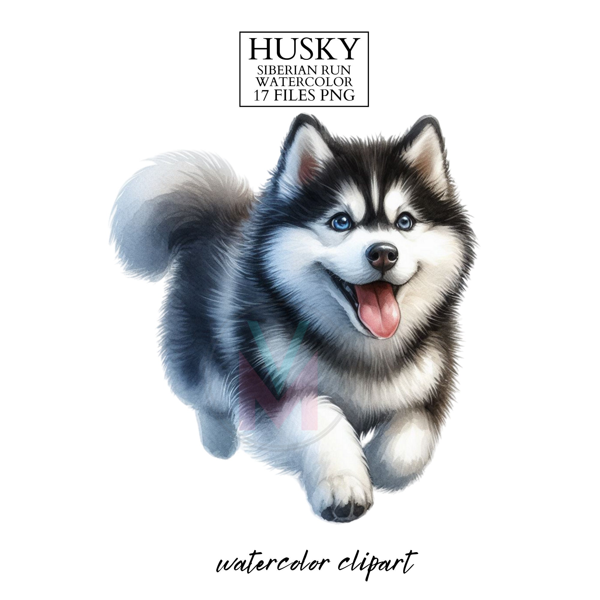 Siberian Husky Running Watercolor Clipart Pngs Dog Clipart, Husky Run ...