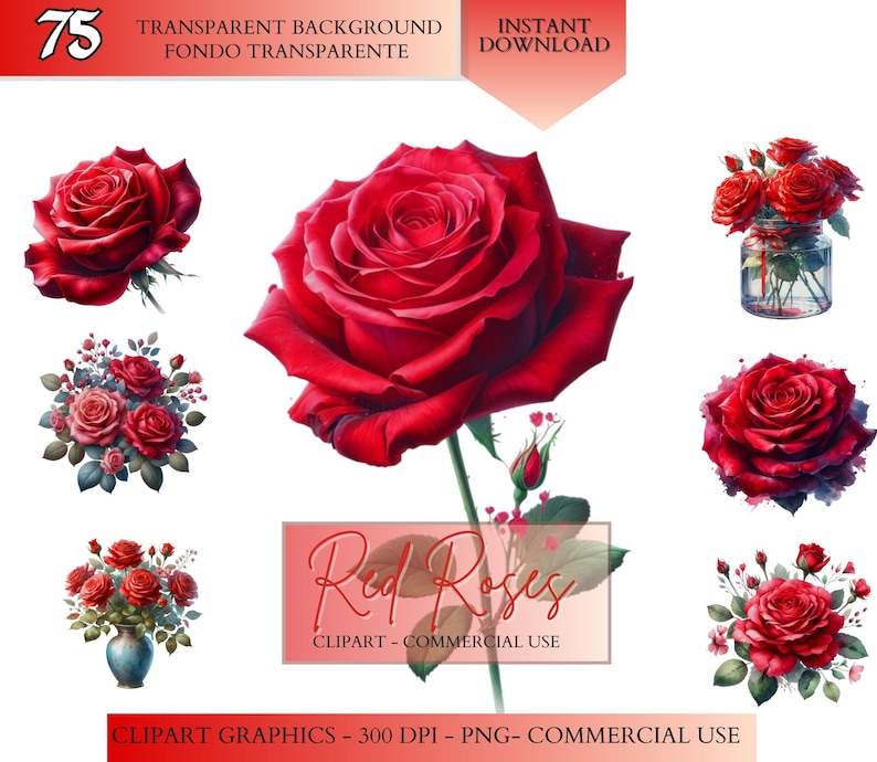 Red Roses Clipart Transparent Png - Mega Bundle 75 Designs - Instant ...