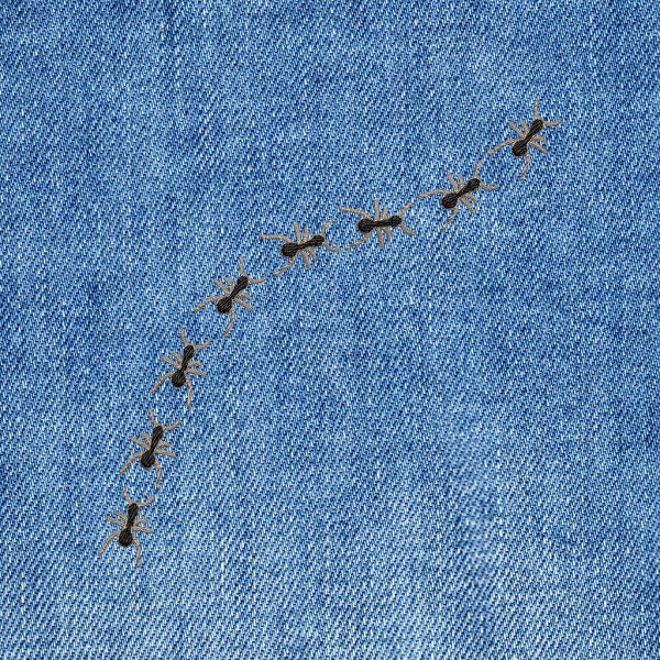 Ant Ants Anthill Machine Embroidery Design 6 Size INSTANT - Etsy