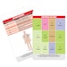 STEMI 12 Lead Reference and 12 Lead EKG ECG Placement Reference ...
