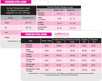 FLACC Pain Scale Horizontal Badge Card Accessory for Nurse - Etsy