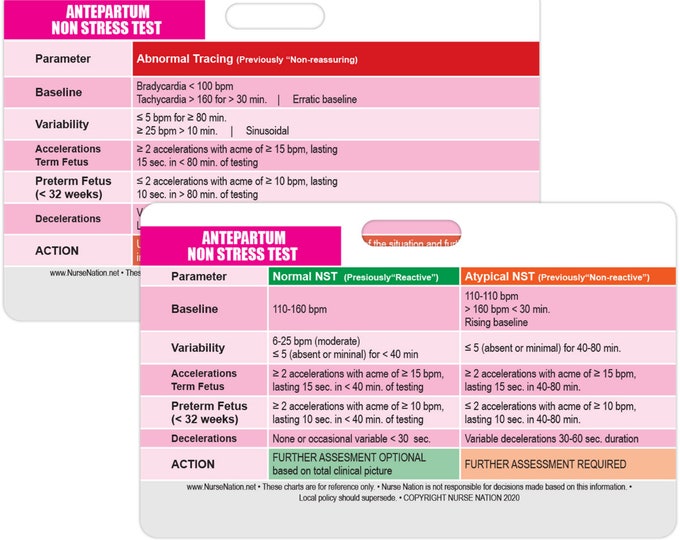 Mini CNA / NA / Nursing Assistant Horizontal Badge Card Set - 6 Cards ...