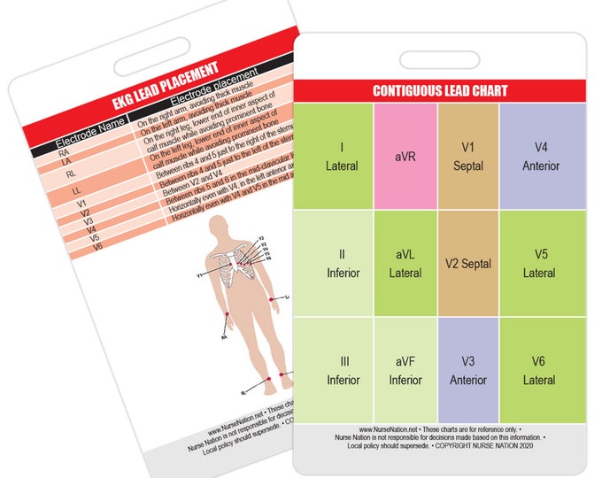 IV intravenous Solution Reference Vertical Badge Card - Etsy