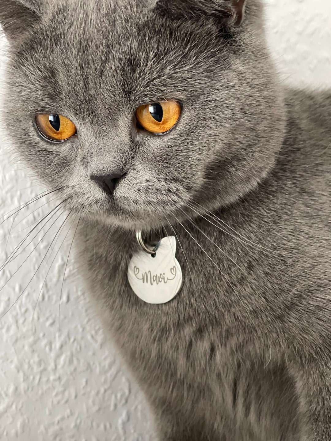 Personalized Pet Name Tag for Cat Engraved Tag for Collar Personalized ...