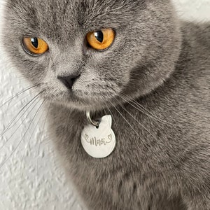 Personalized Pet Name Tag for Cat Engraved Tag for Collar Personalized ...