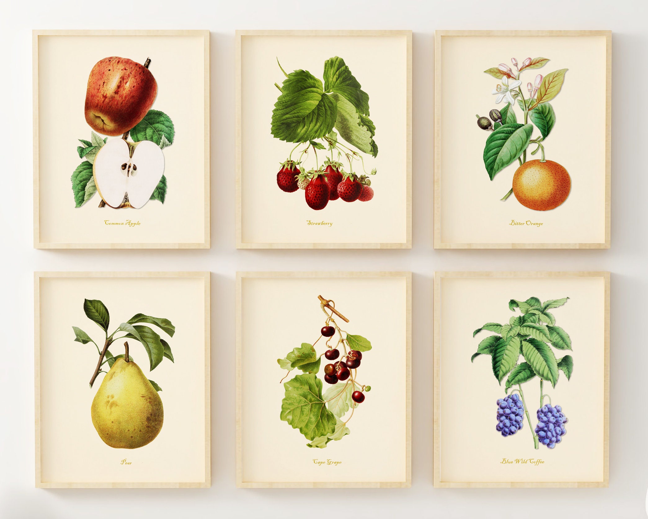 Vintage Fruit Art Prints (set of 6) - Kitchen Wall Decor - Botanical ...