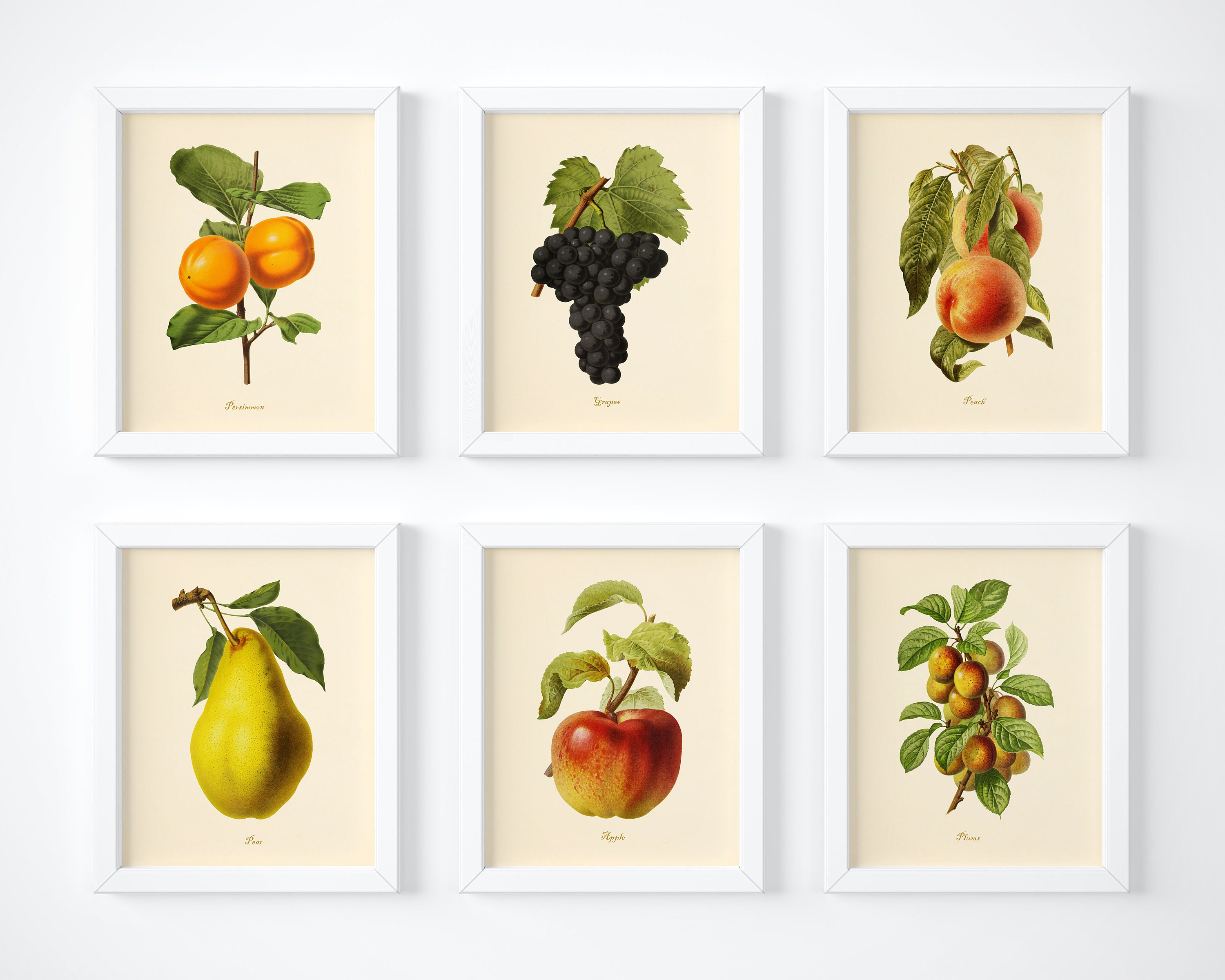 Vintage Fruit Art Prints Set of 6 Kitchen Wall Art Decor | Etsy