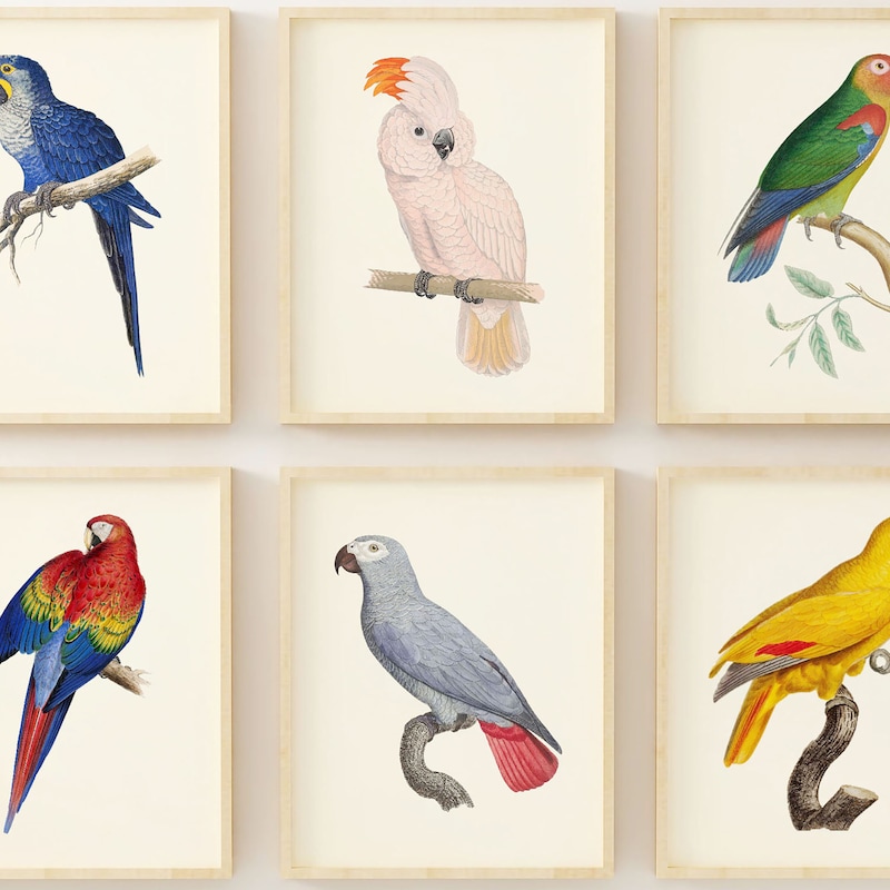 Bird Wall Art - Etsy
