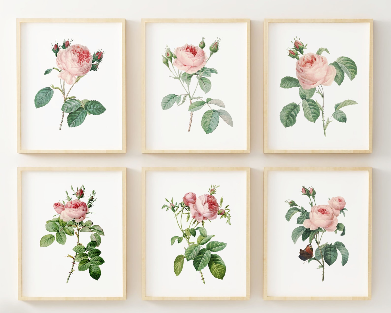 Vintage Pink Roses Wall Art Prints Botanical Prints Floral - Etsy