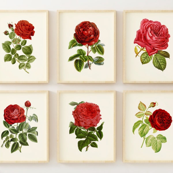 Red Rose Decor - Etsy
