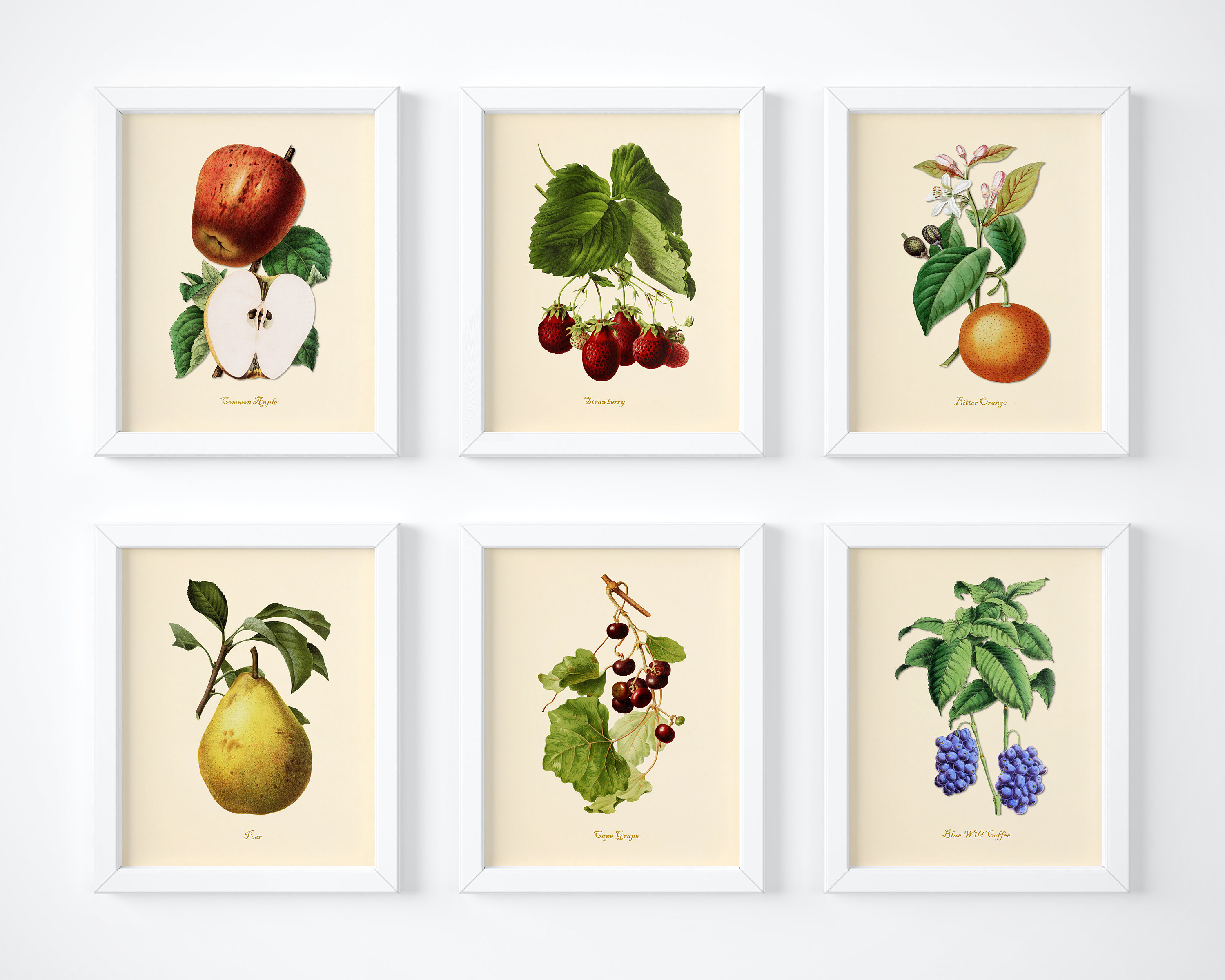 Vintage Fruit Art Prints (set of 6) - Kitchen Wall Decor - Botanical ...