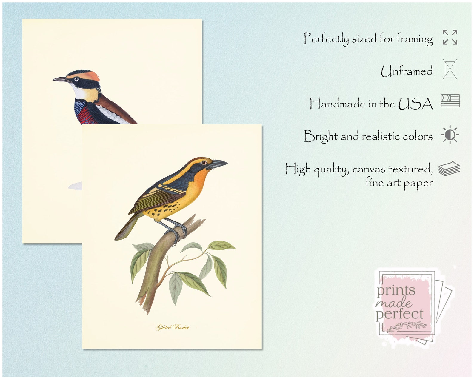 Bird Art Vintage Bird Art Prints Bird Wall Decor Birds - Etsy