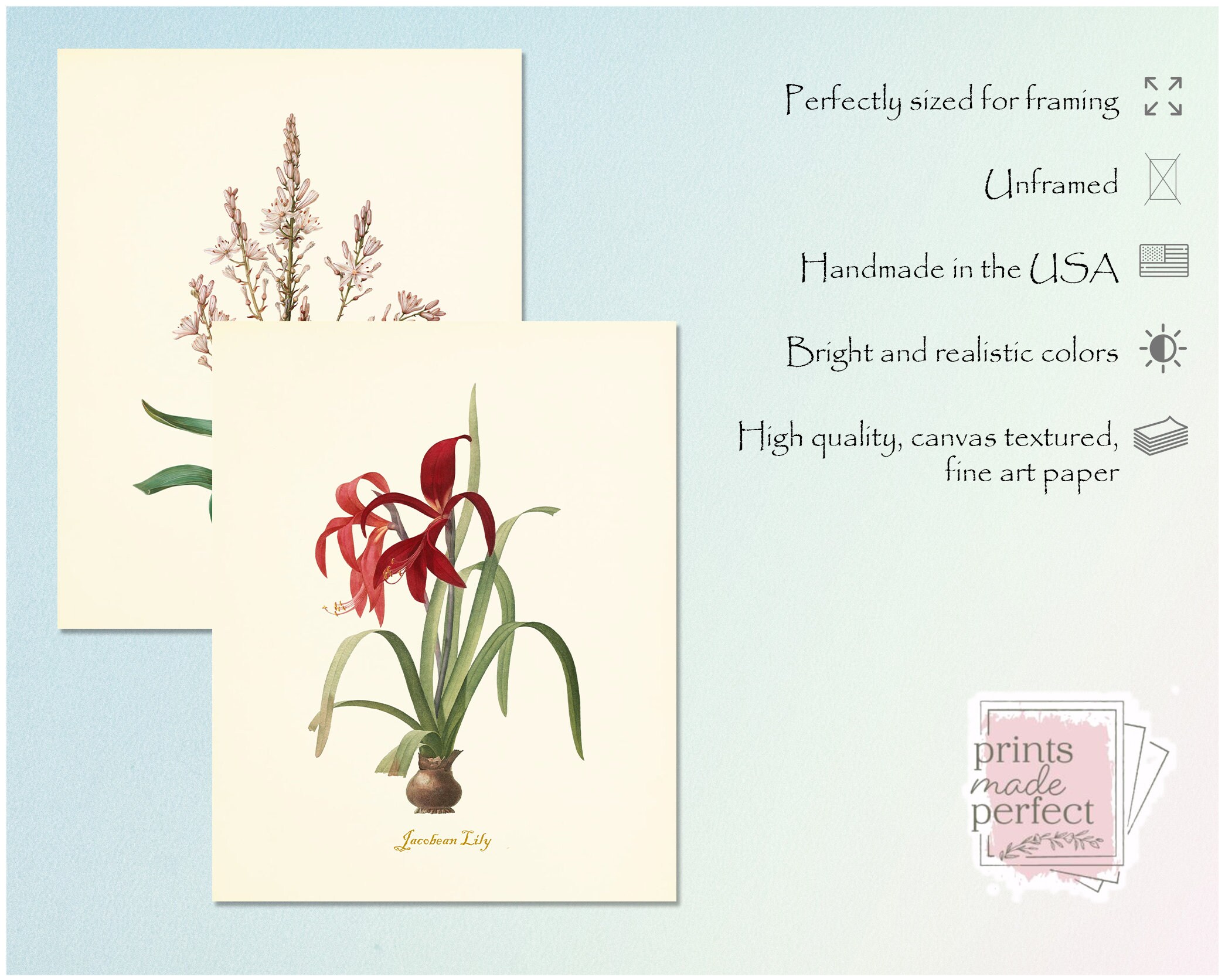Lily Flower Prints - Botanical Wall Art - Set of 6 - Flower Wall Art ...