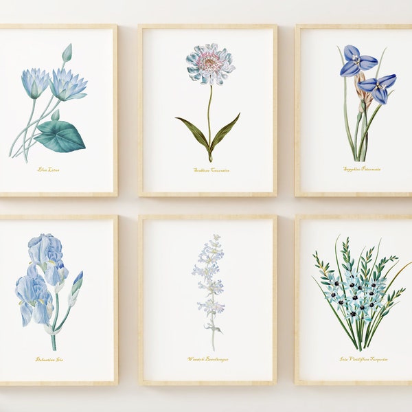 Large Botanical Prints - Etsy