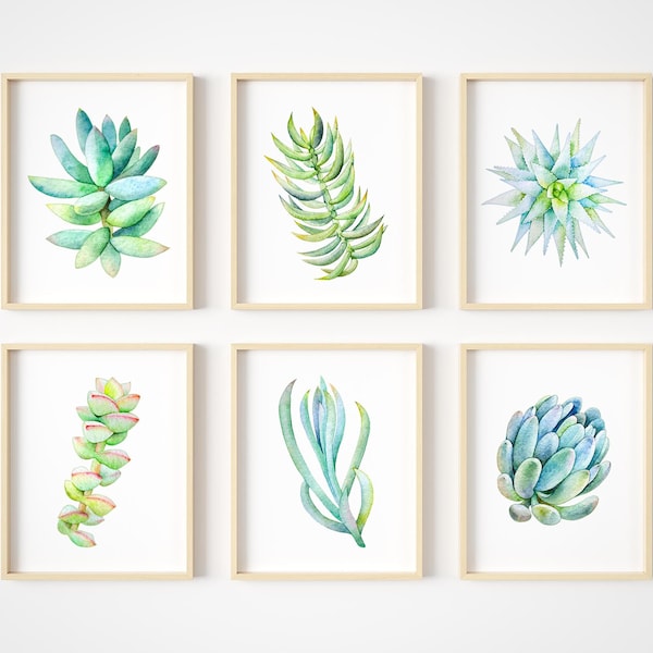 Succulent Wall Art - Etsy