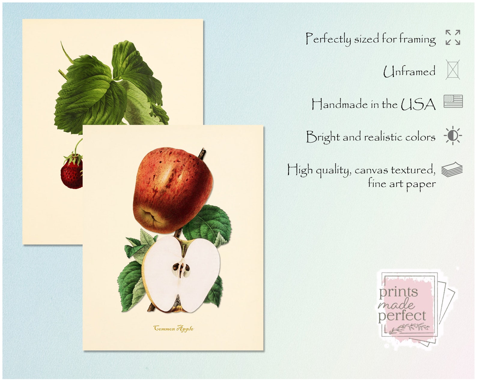 Vintage Fruit Art Prints (set of 6) - Kitchen Wall Decor - Botanical ...